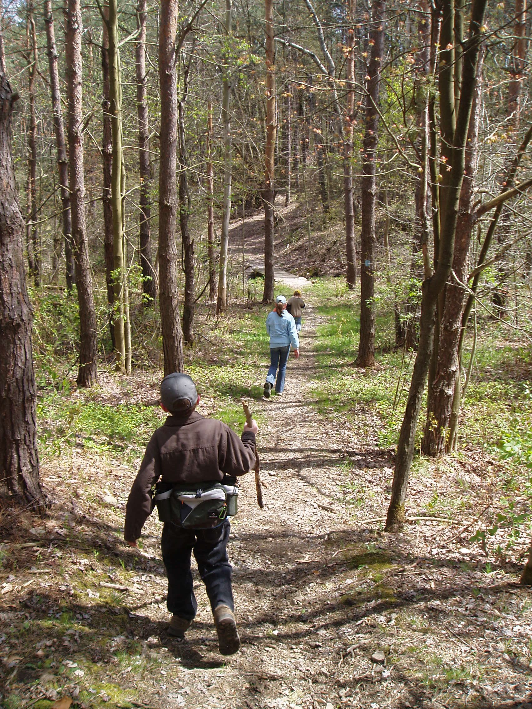 Interactive Chautauqua County trails map now available | News, Sports ...